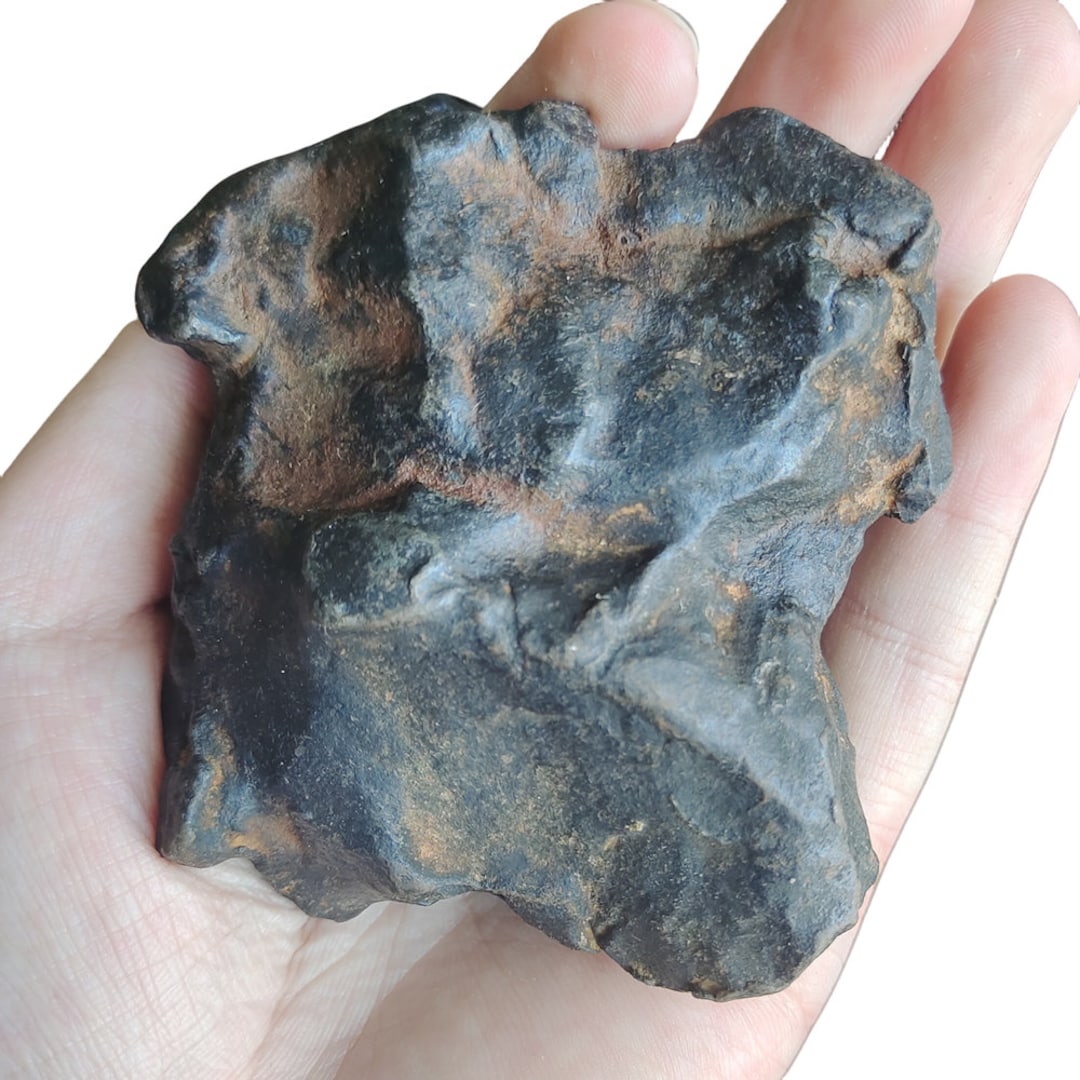 832G Camille Iron Meteorite Gebel Kamil Natural Meteorite Material Iron ...