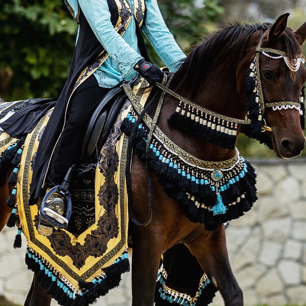 Arabian Horse Tack - Etsy