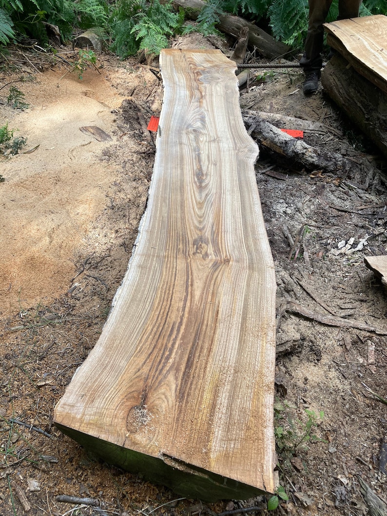 Waney Edge Timber Boards: Hardwood & Softwood Slabs - Etsy Australia