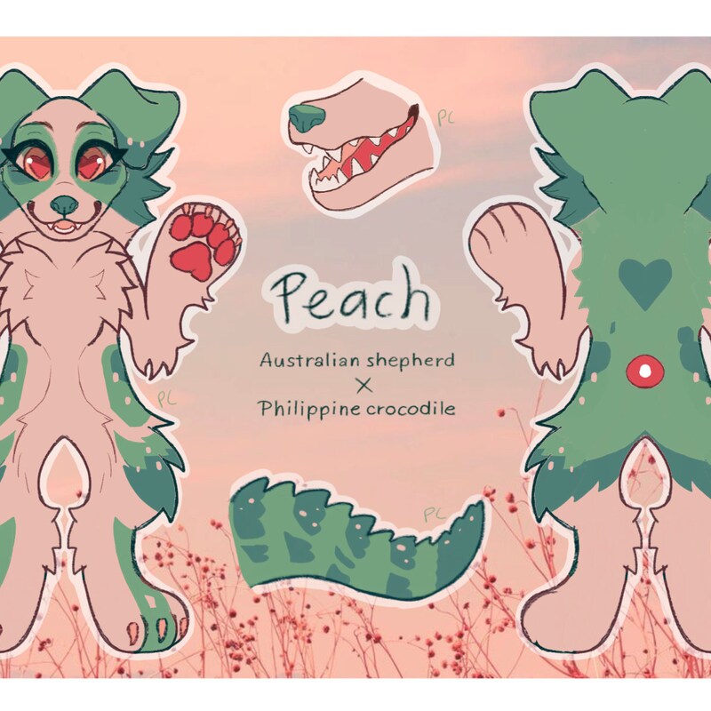 Fursuit Ref Sheets - Etsy