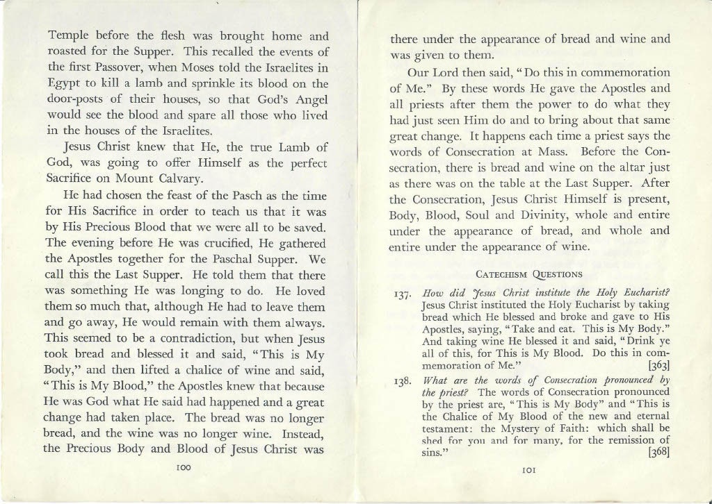 Traditional Latin Mass Light of the World Catholic Catechism - Etsy