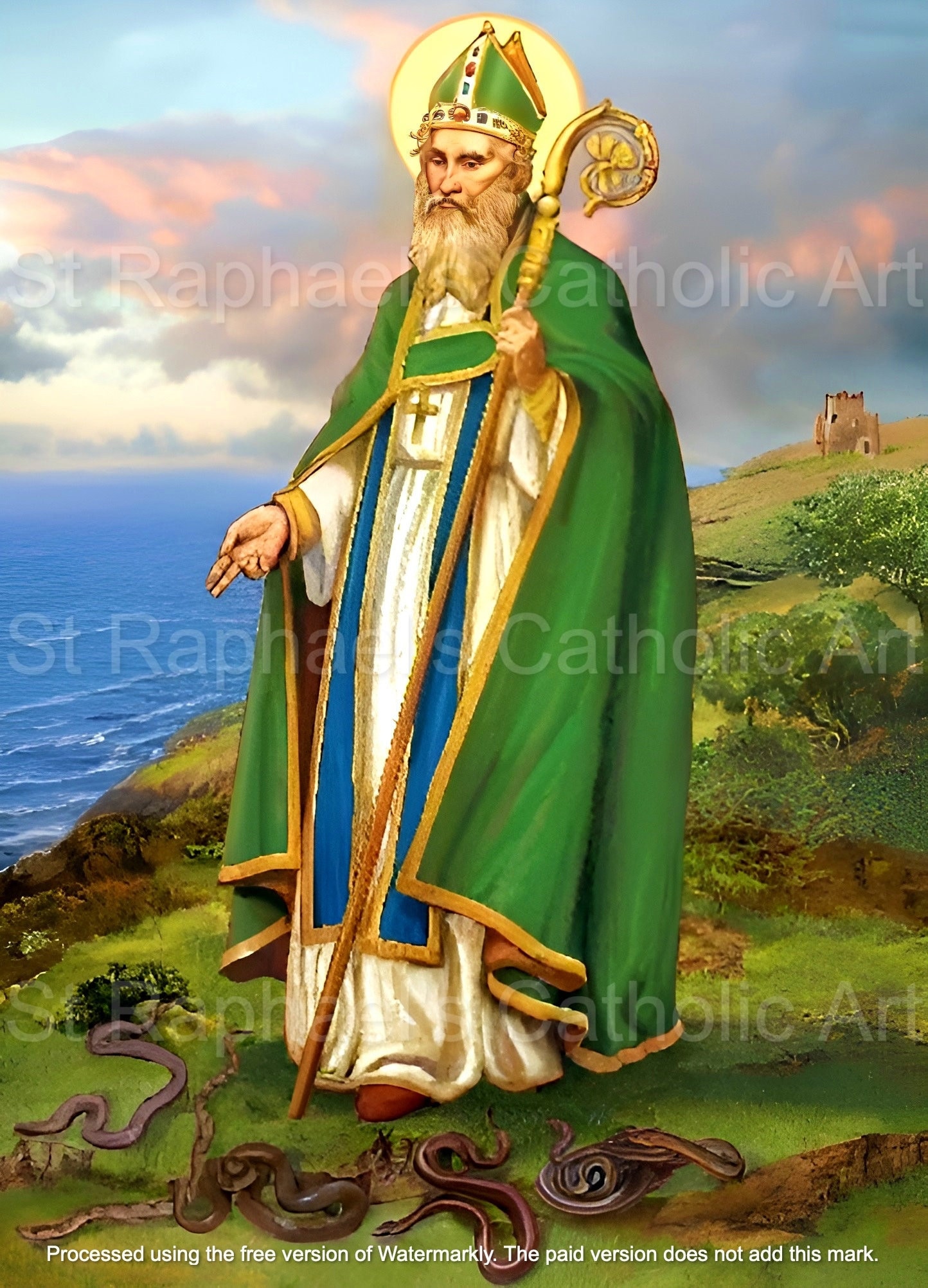 St Patrick Irish Patron Saint Picture Prayers Novena and Litany Digital ...