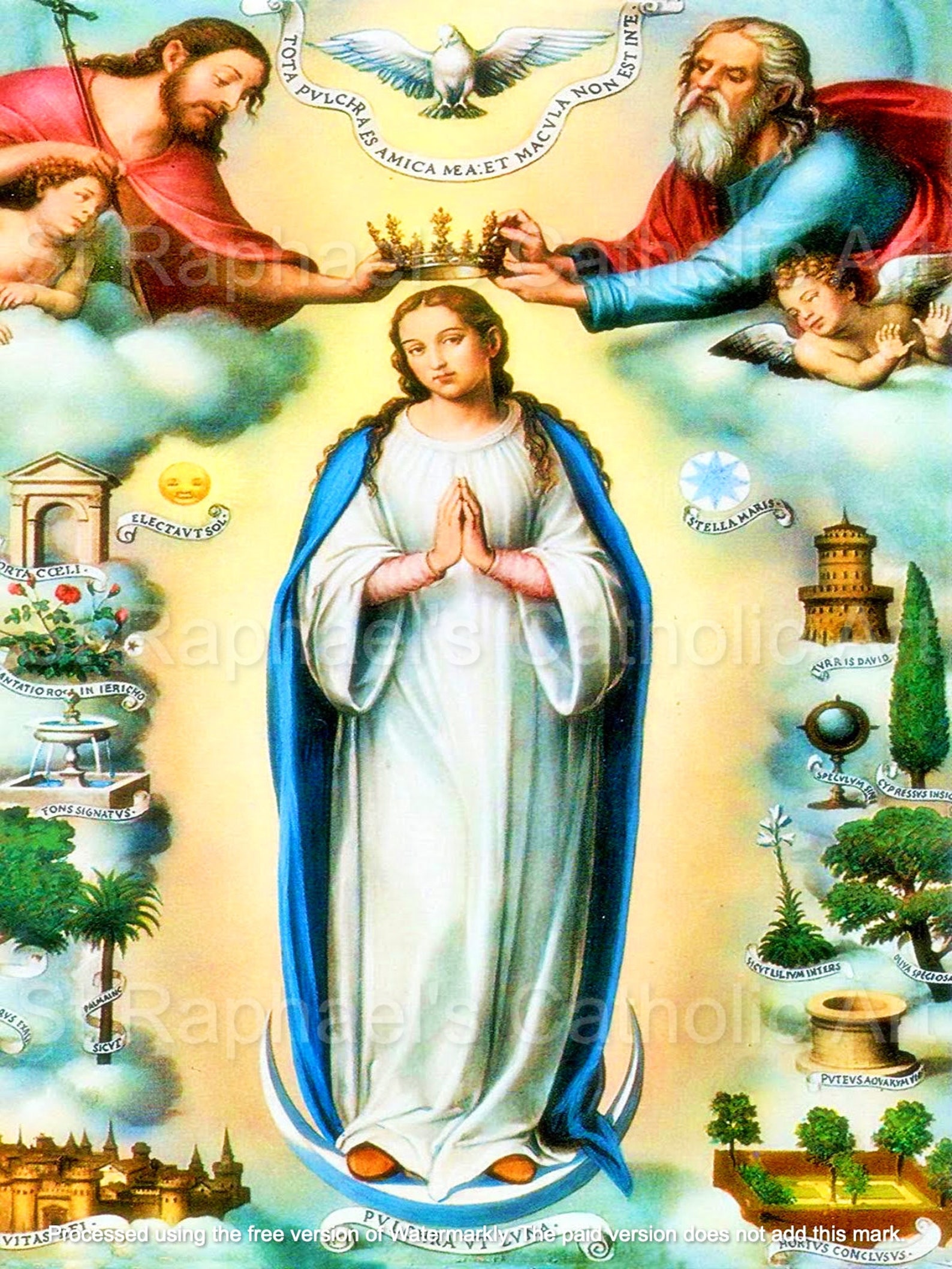 Queenship of the Blessed Virgin Mary Coronation Queen of Heaven ...