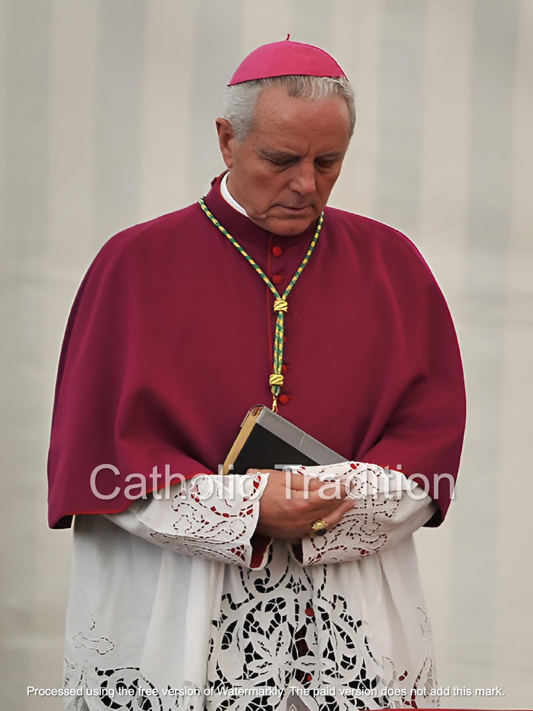 Bishop Williamson Archbishop Lefebvre Traditionalist SSPX Latin Mass ...