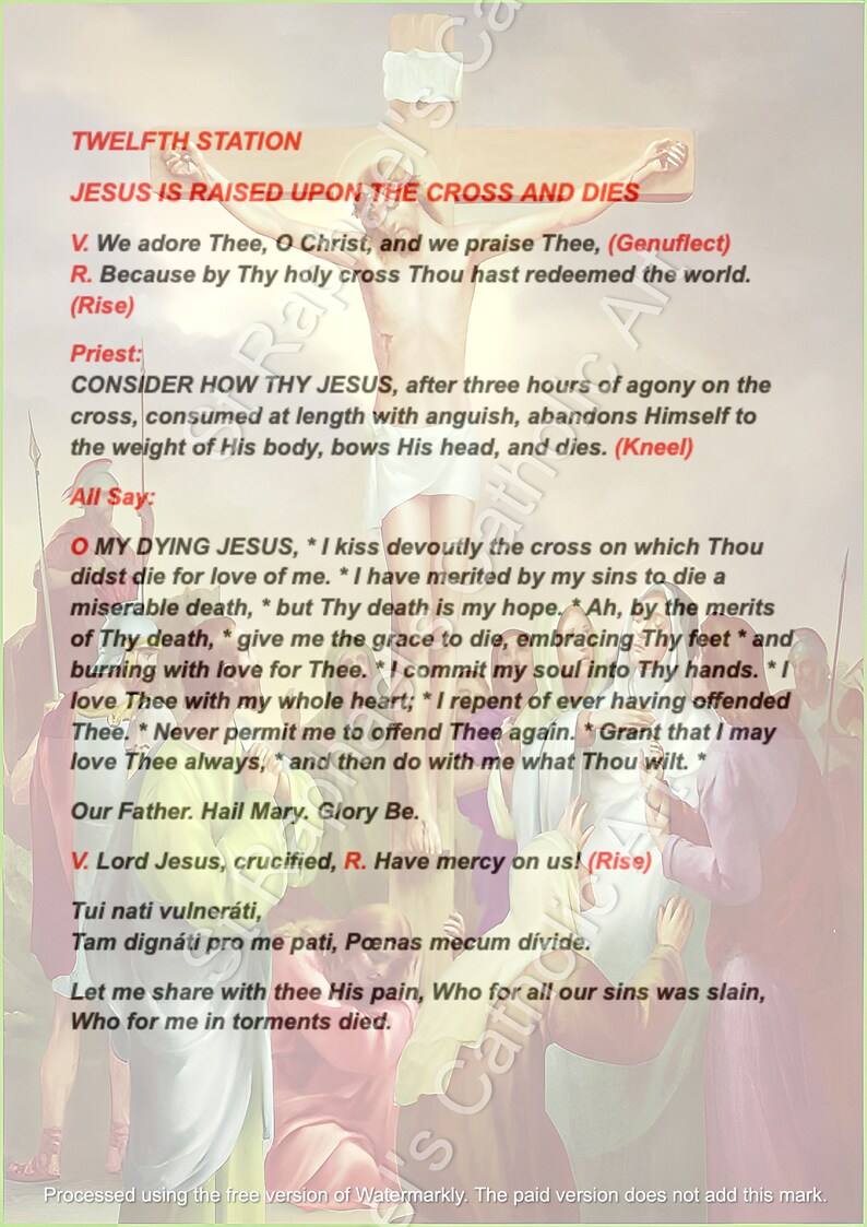 Way of the Cross Complete Prayer With Pictures Catholic Devotion Prayer ...