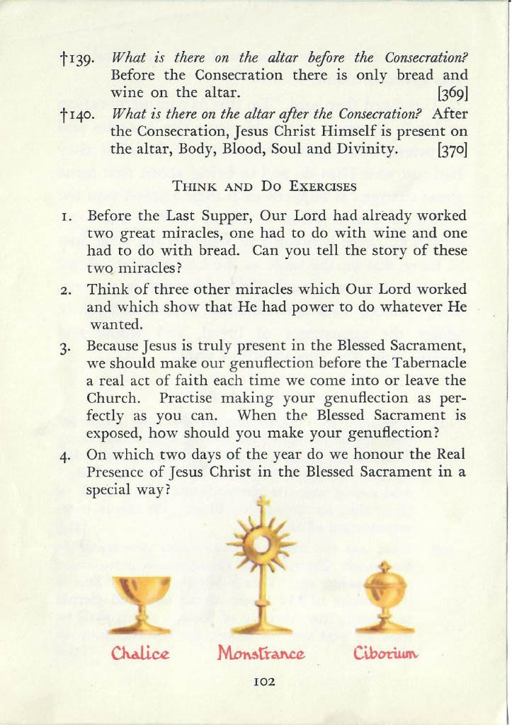 Traditional Latin Mass Light of the World Catholic Catechism - Etsy