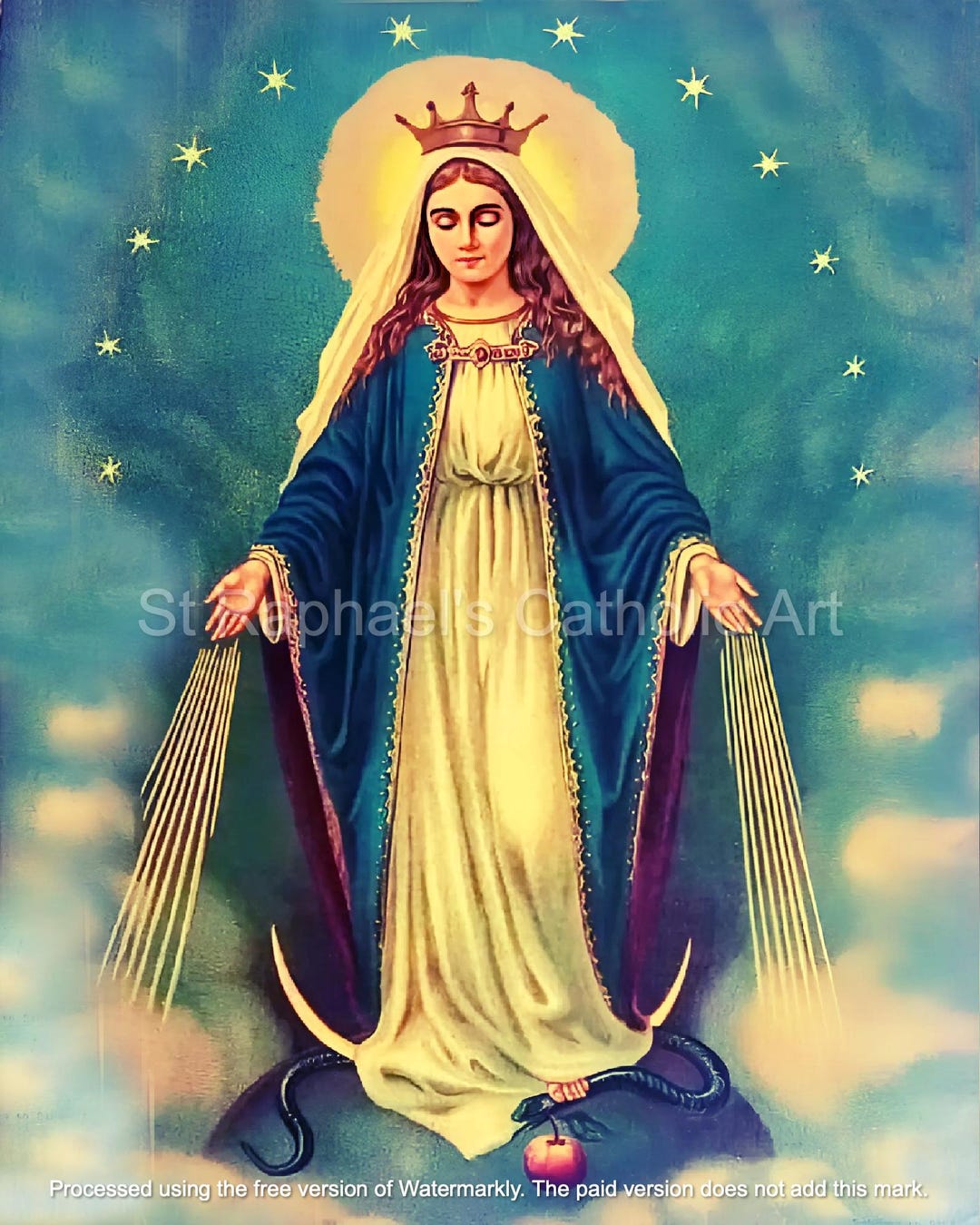 Immaculate Mother Mary Catholic Our Lady Miraculous Medal Picture ...