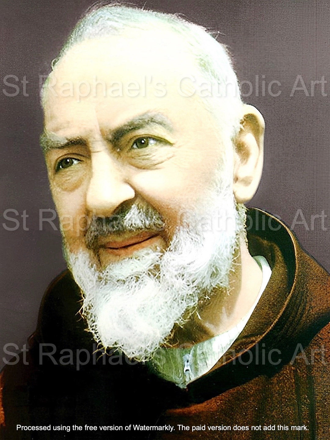 Padre Pio - Catholic Saint - Stigmata - Wounds of Jesus Christ - Holy ...