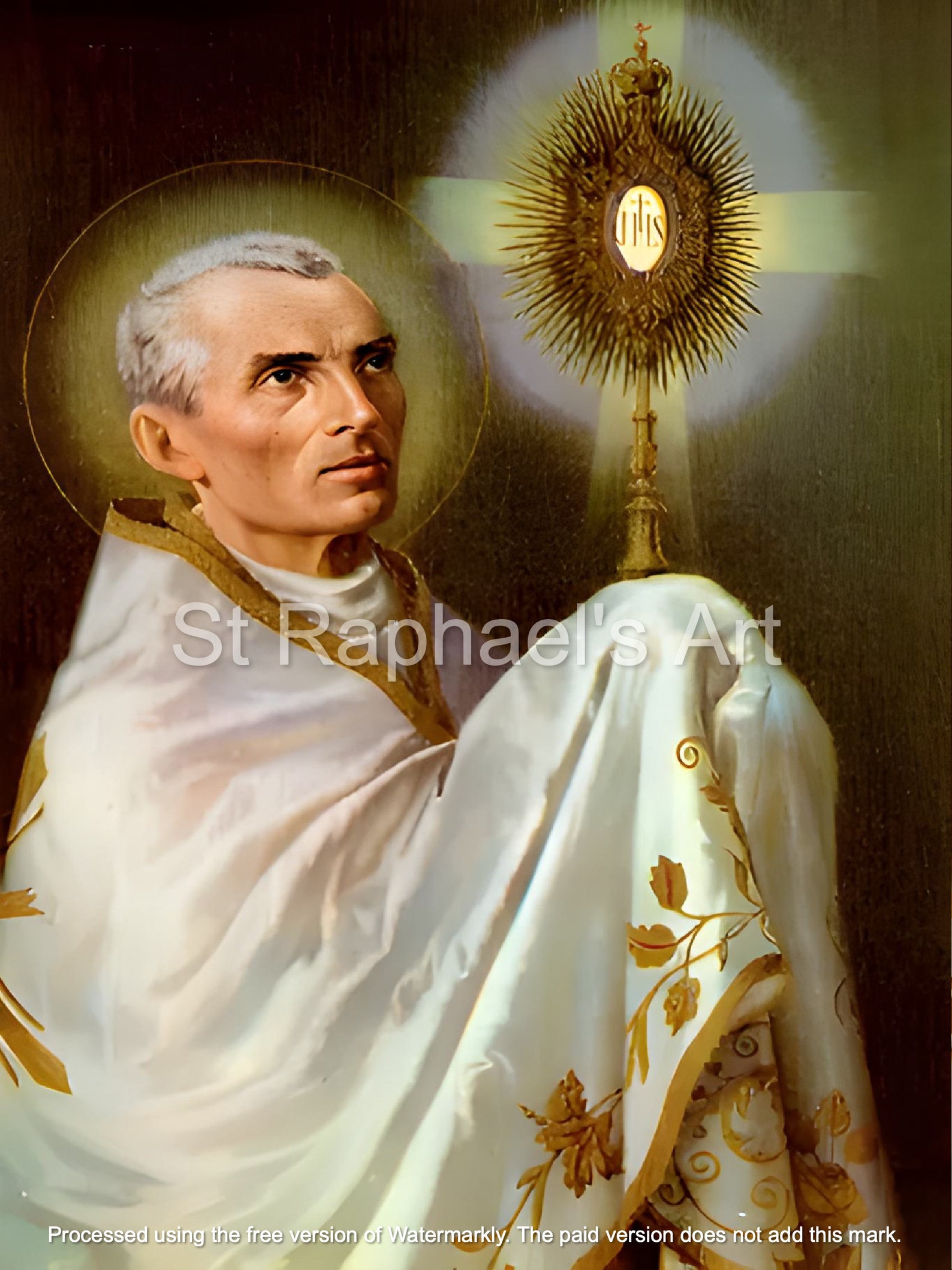 Holy Eucharist Adoration Benediction Priest Mass Benediction Catholic ...