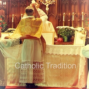 Bishop Williamson Archbishop Lefebvre Traditionalist SSPX Latin Mass ...