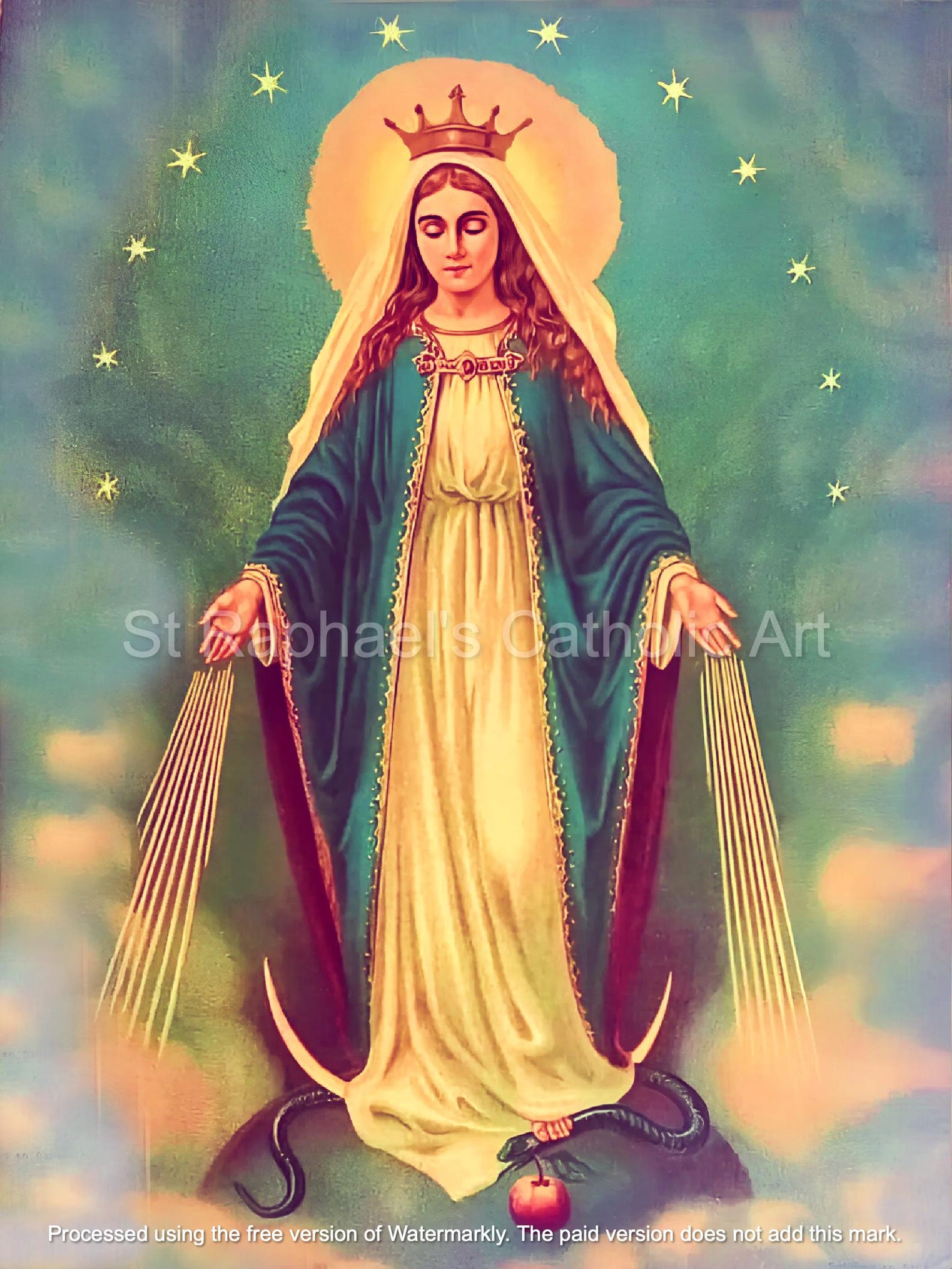 Immaculate Mother Mary Catholic Our Lady Miraculous Medal Picture ...