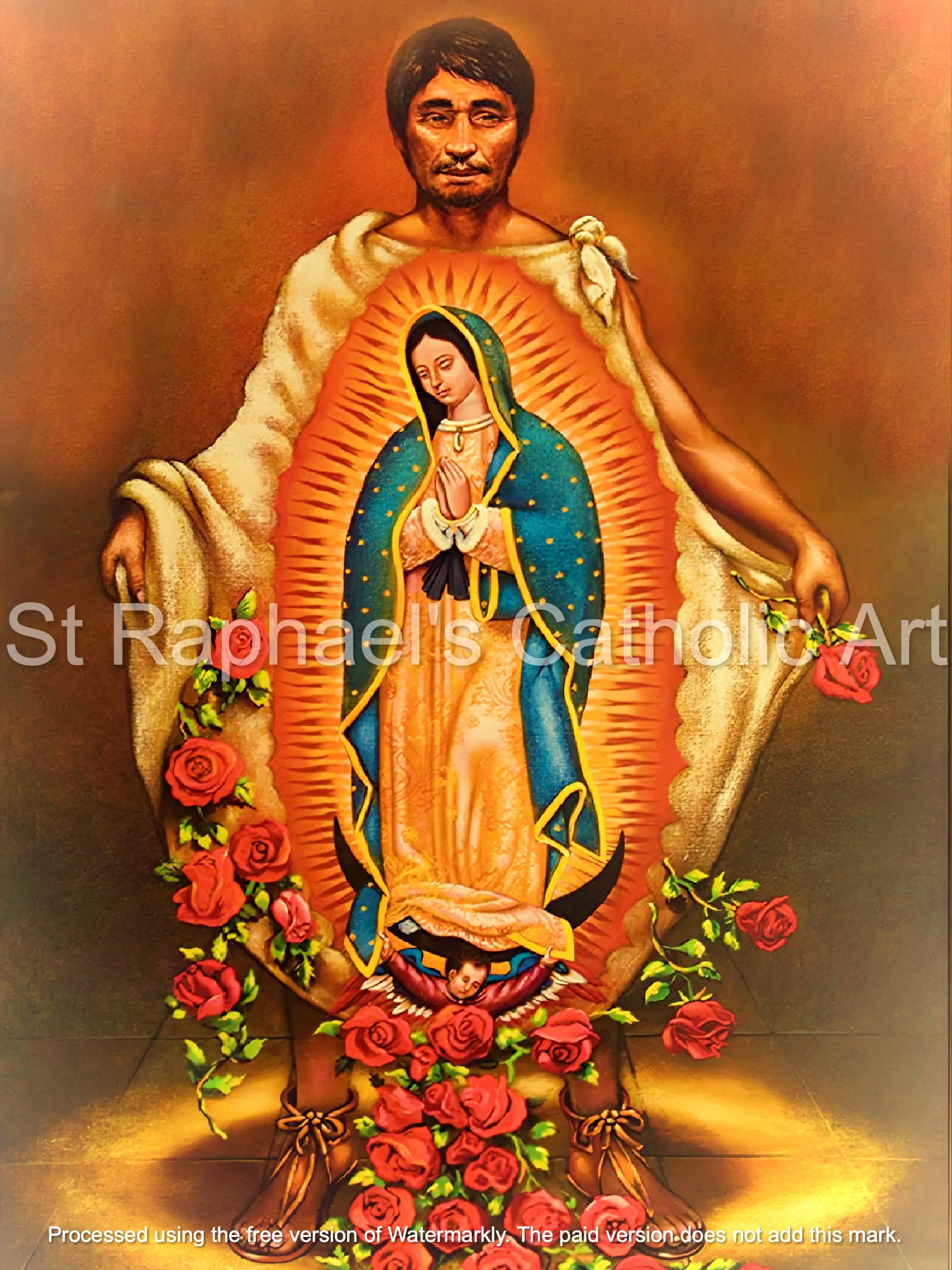 St Juan Diego Our Lady of Guadalupe Catholic America Mexico Virgin Mary ...