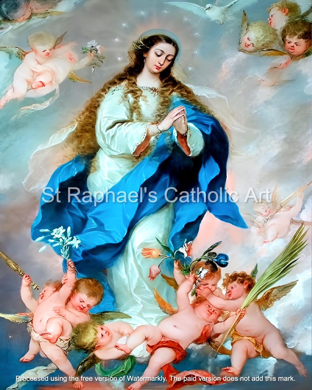Virgin Mary Immaculate Mother Assumption Into Heaven Queen of Angels ...