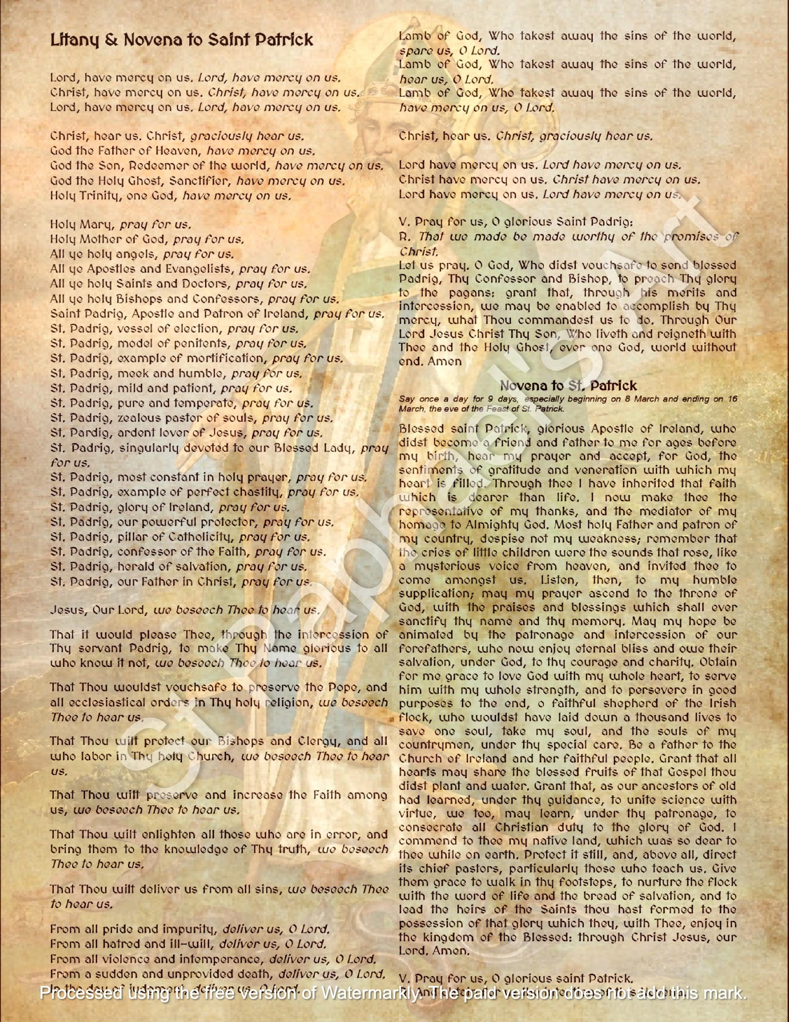 St Patrick Irish Patron Saint Picture Prayers Novena and Litany Digital ...