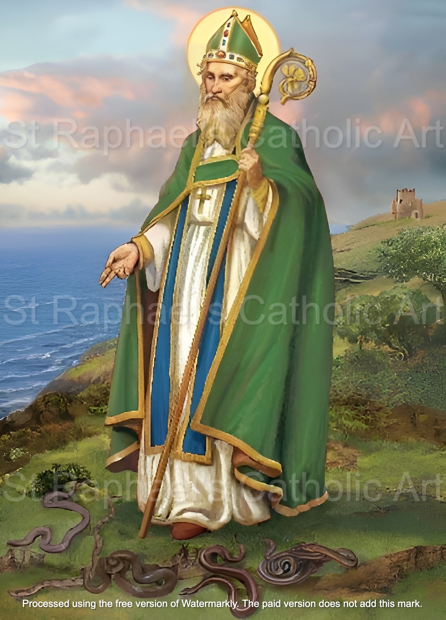 St Patrick Irish Patron Saint Picture Prayers Novena and Litany Digital ...