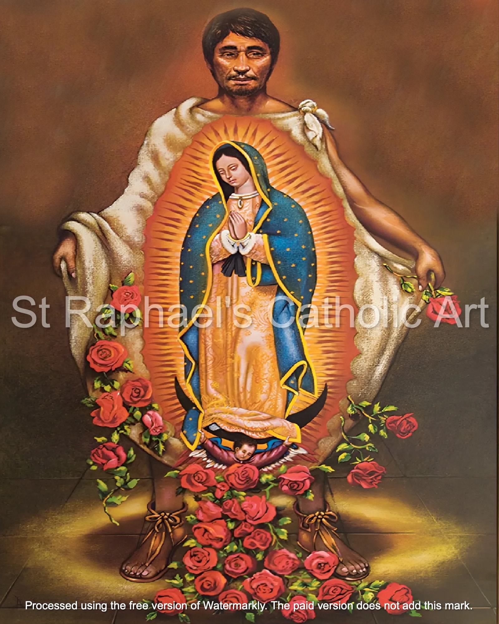 St Juan Diego Our Lady of Guadalupe Catholic America Mexico Virgin Mary ...
