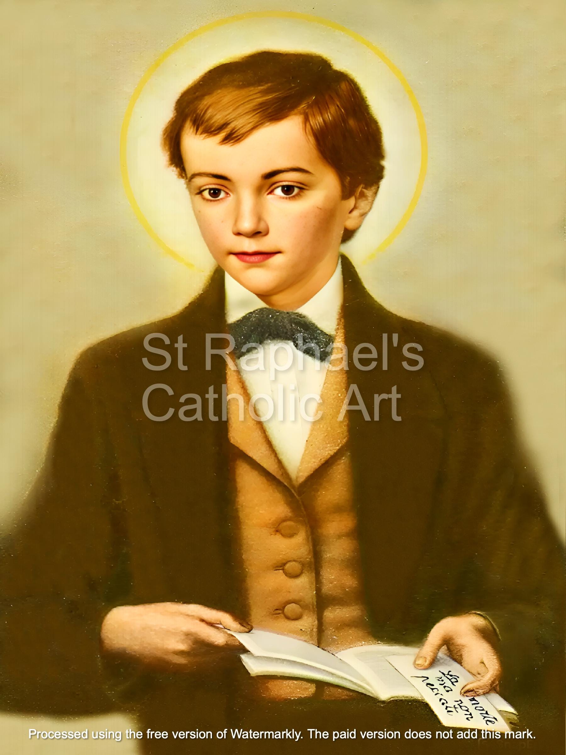 St Dominic Savio School Boy Saint Patron of Choir Boys Juvenile Falsely ...