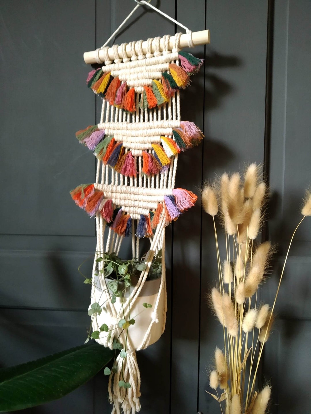 Handmade Macrame Plant Hanger: Colorful Boho Wall Art - Etsy UK