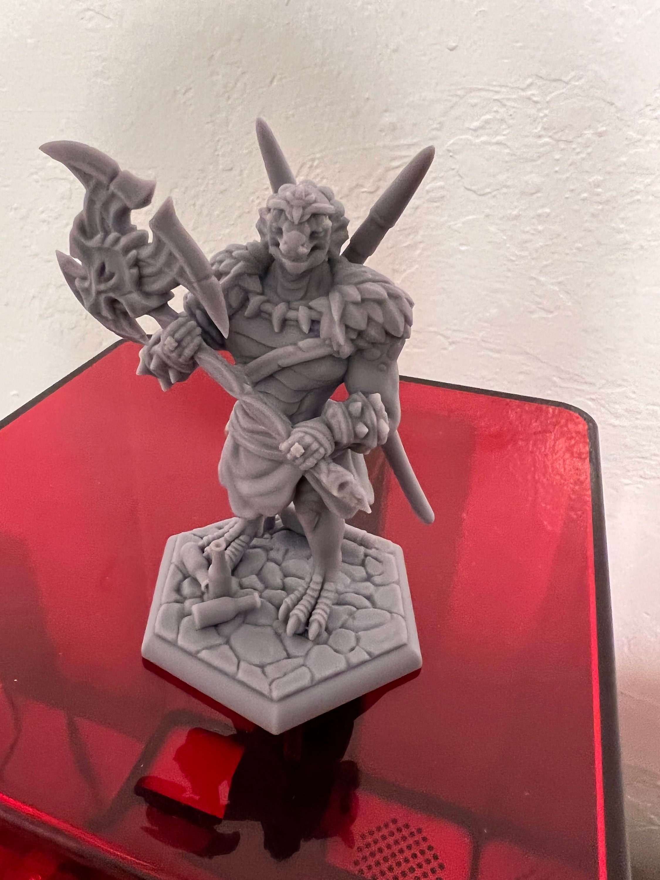 Resin 3D Print of Your Custom Mini From Hero Forge or Any - Etsy
