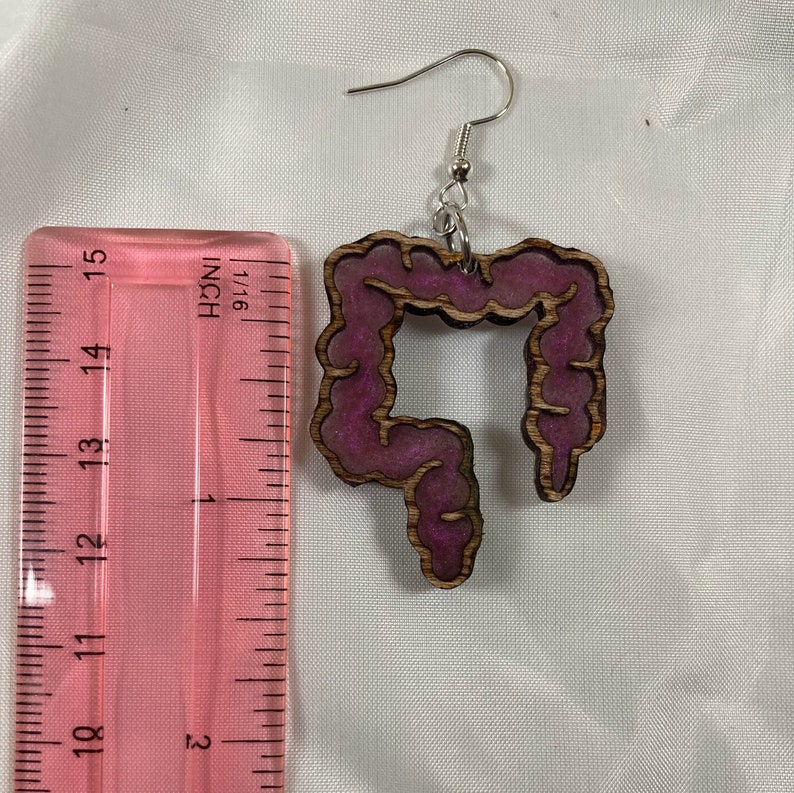 Large Intestine, Digestive, Colon - Etsy