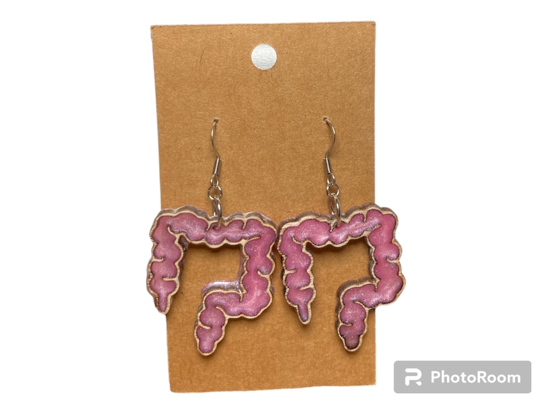Large Intestine, Digestive, Colon - Etsy