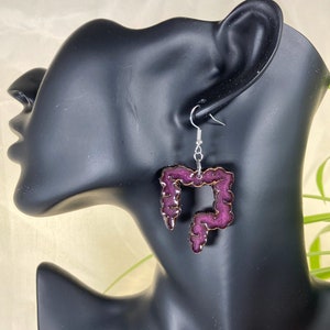 Large Intestine, Digestive, Colon - Etsy