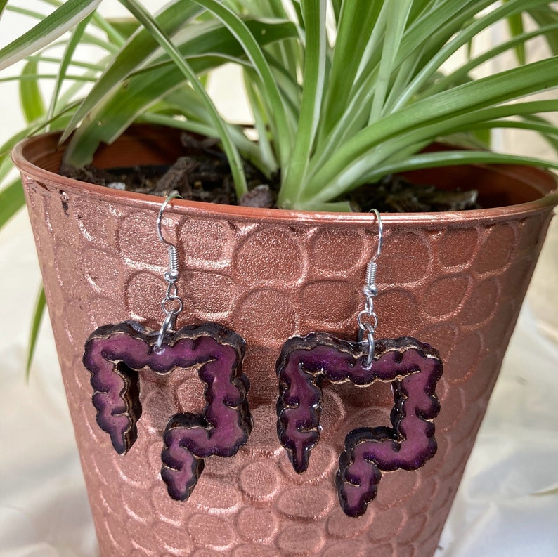 Large Intestine, Digestive, Colon - Etsy