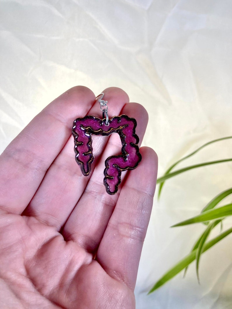 Large Intestine, Digestive, Colon - Etsy