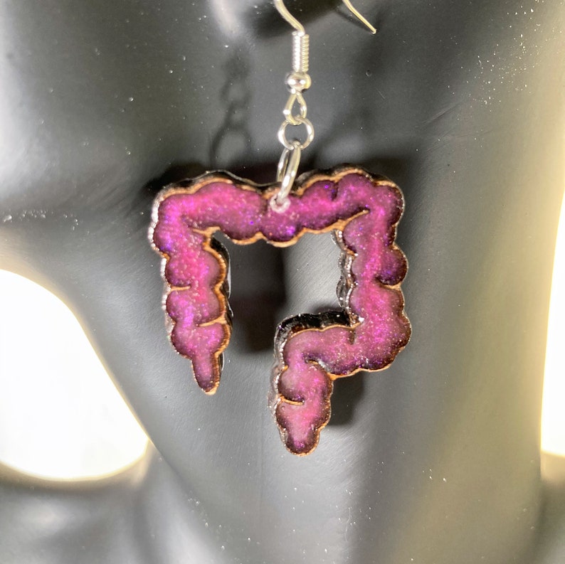 Large Intestine, Digestive, Colon - Etsy