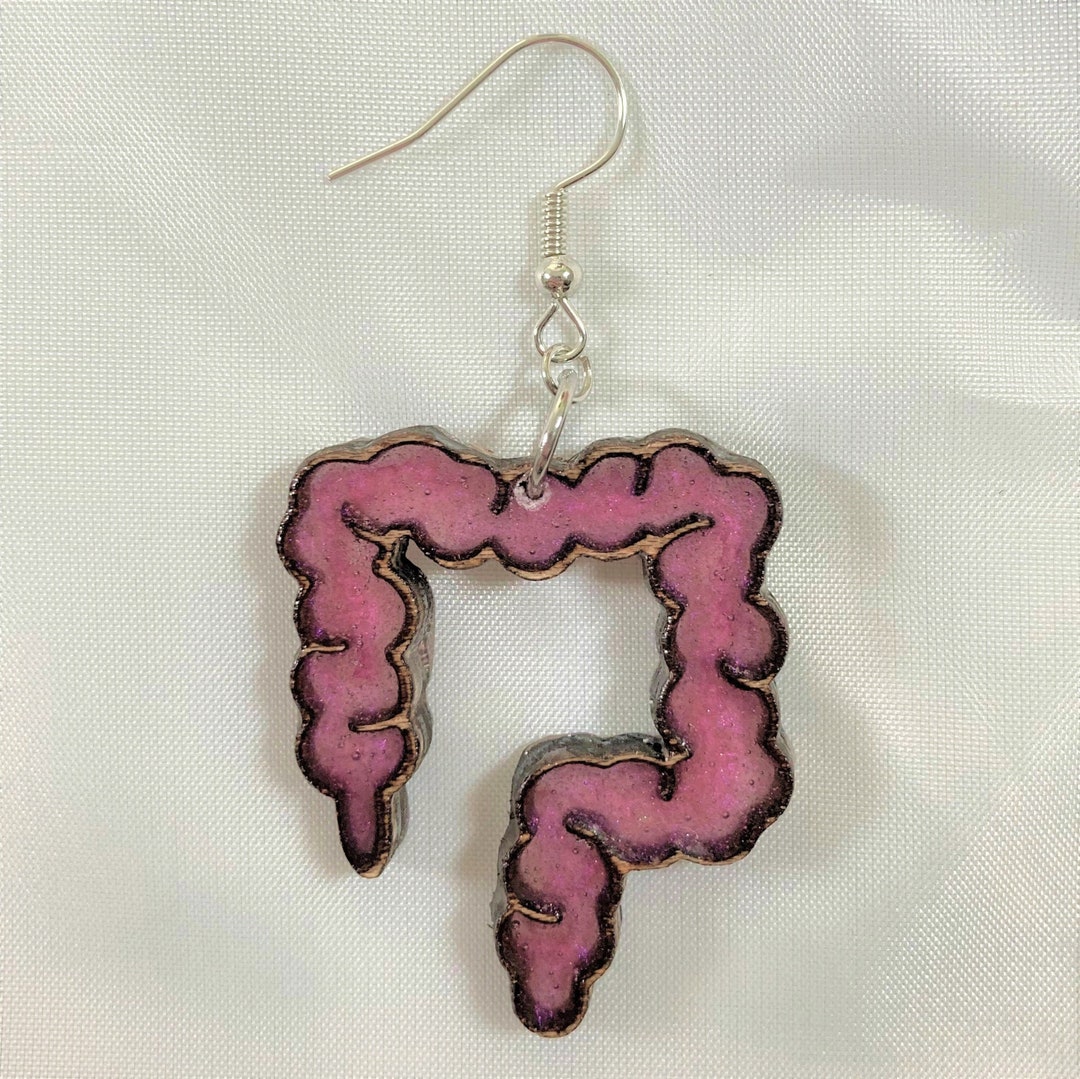 Large Intestine Digestive Colon - Etsy