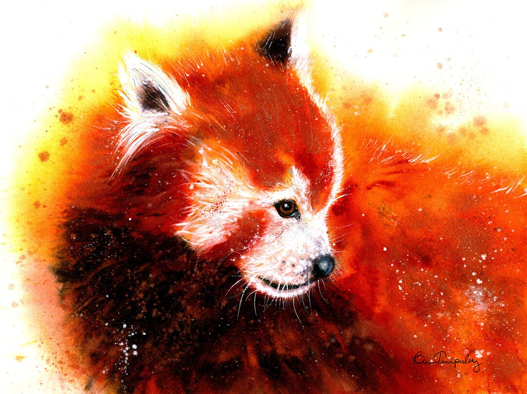 Red Panda Watercolor Painting, Red Panda Nursery Decor, Red Panda Art ...