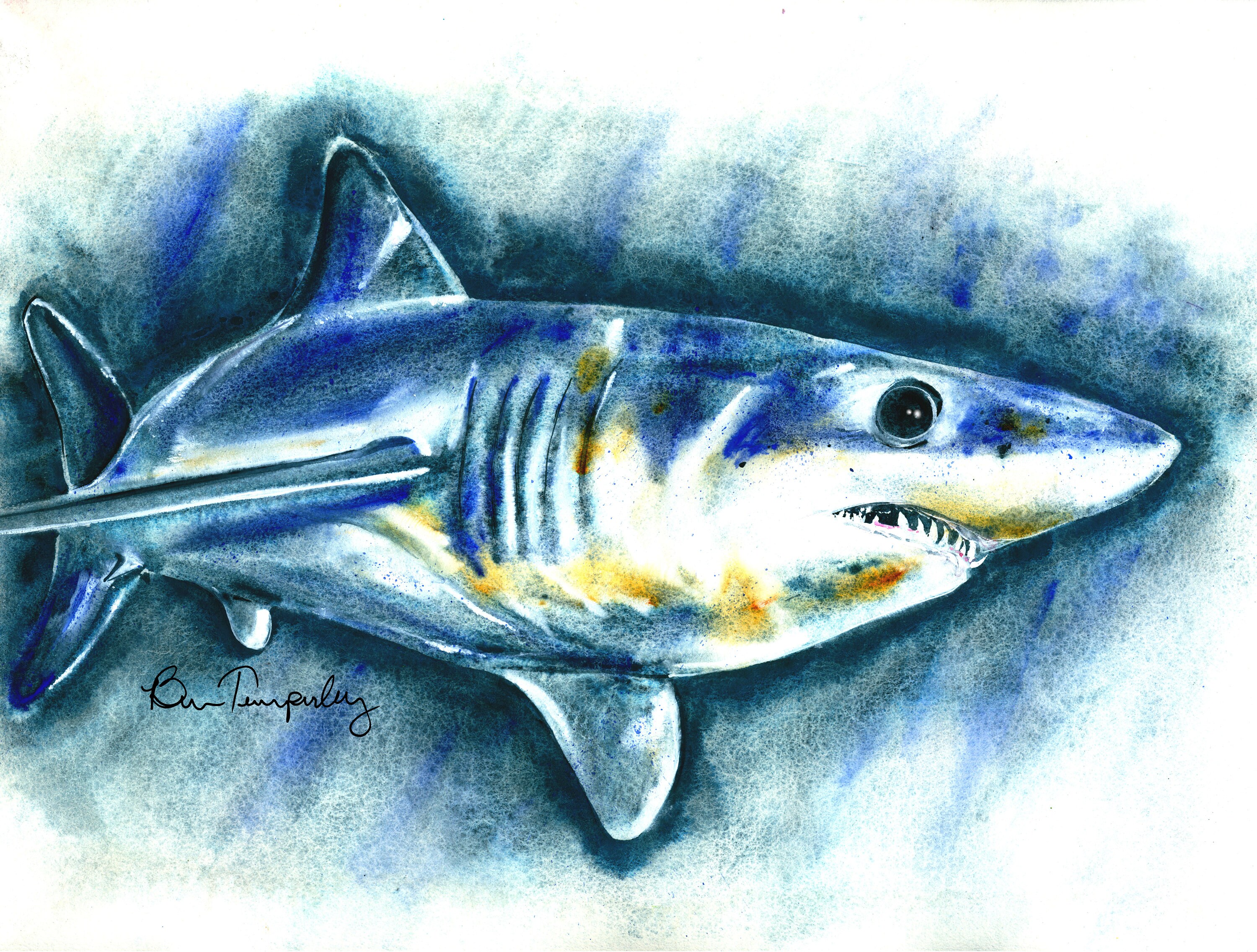 Shark Painting, Watercolor Shark, Beach House Gift, Shark Print, Shark ...