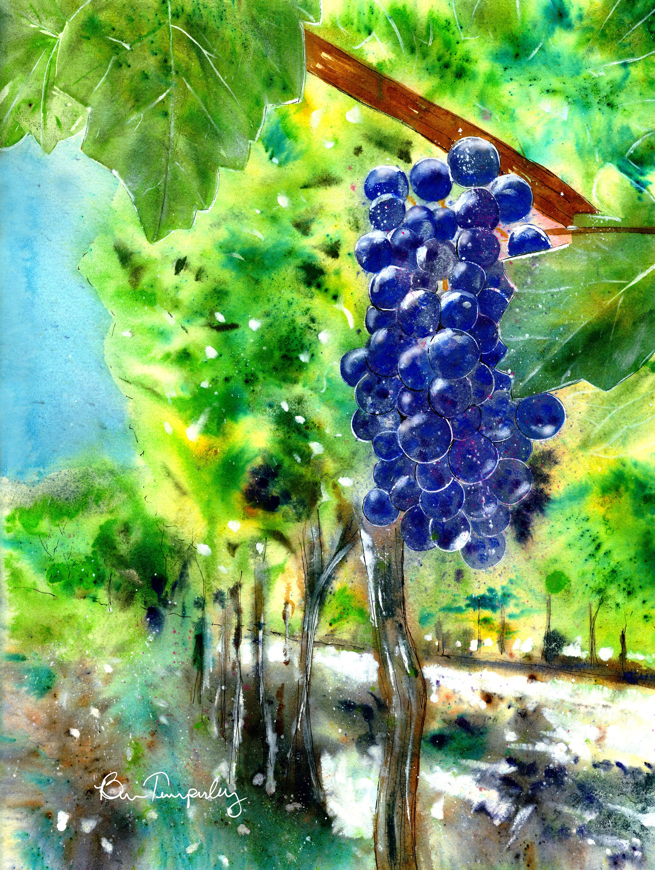 Grapes Painting Abstract