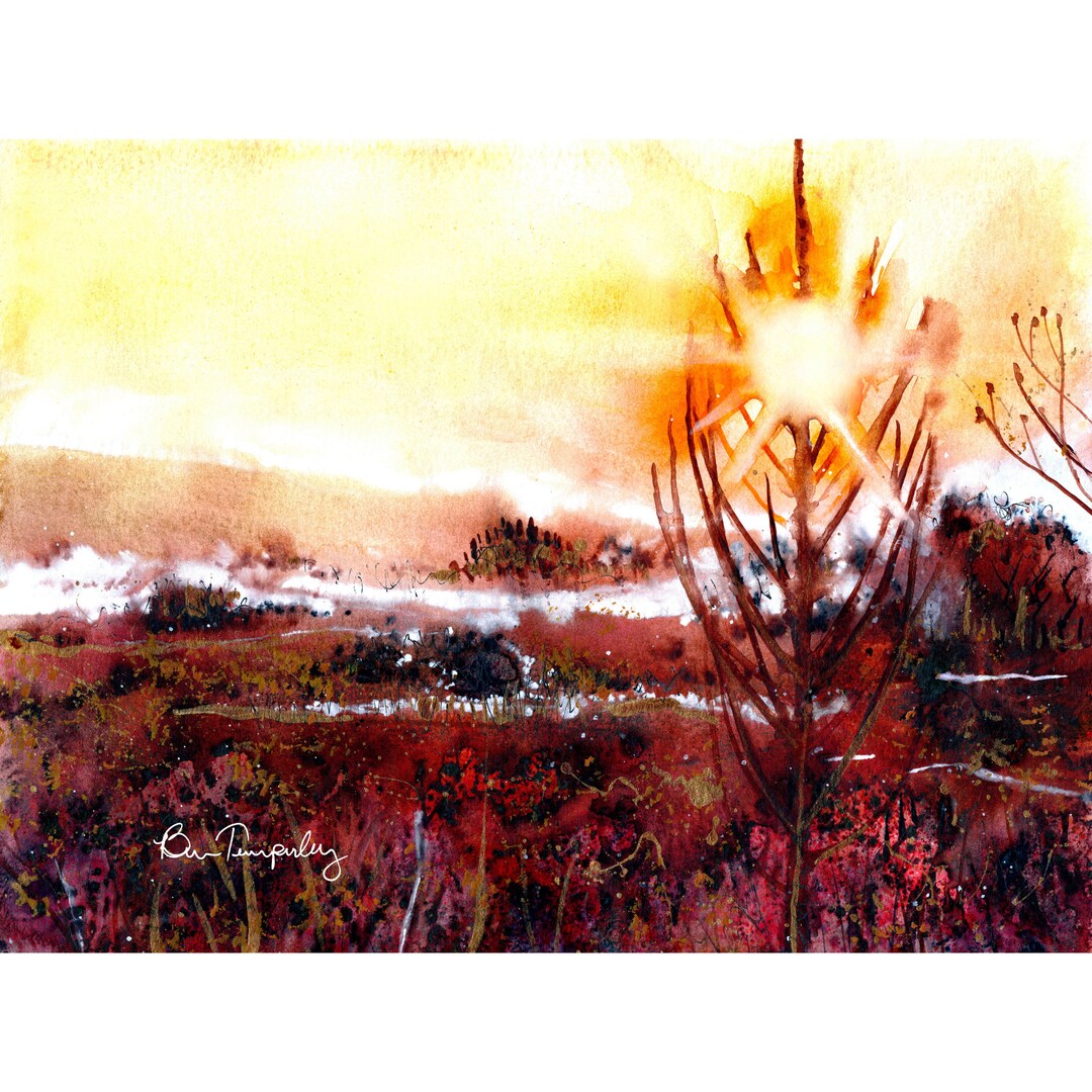 Desert Sunset, Wilderness, Watercolor Painting, Painting Sunset, Desert ...