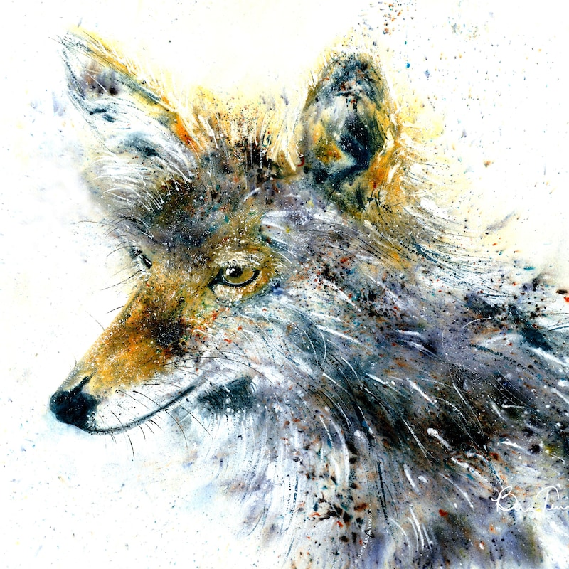 Coyote Wall Art - Etsy