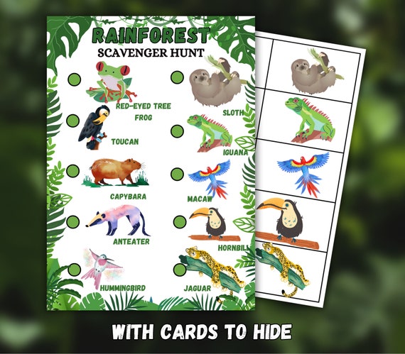 Tropical Rainforest Scavengers