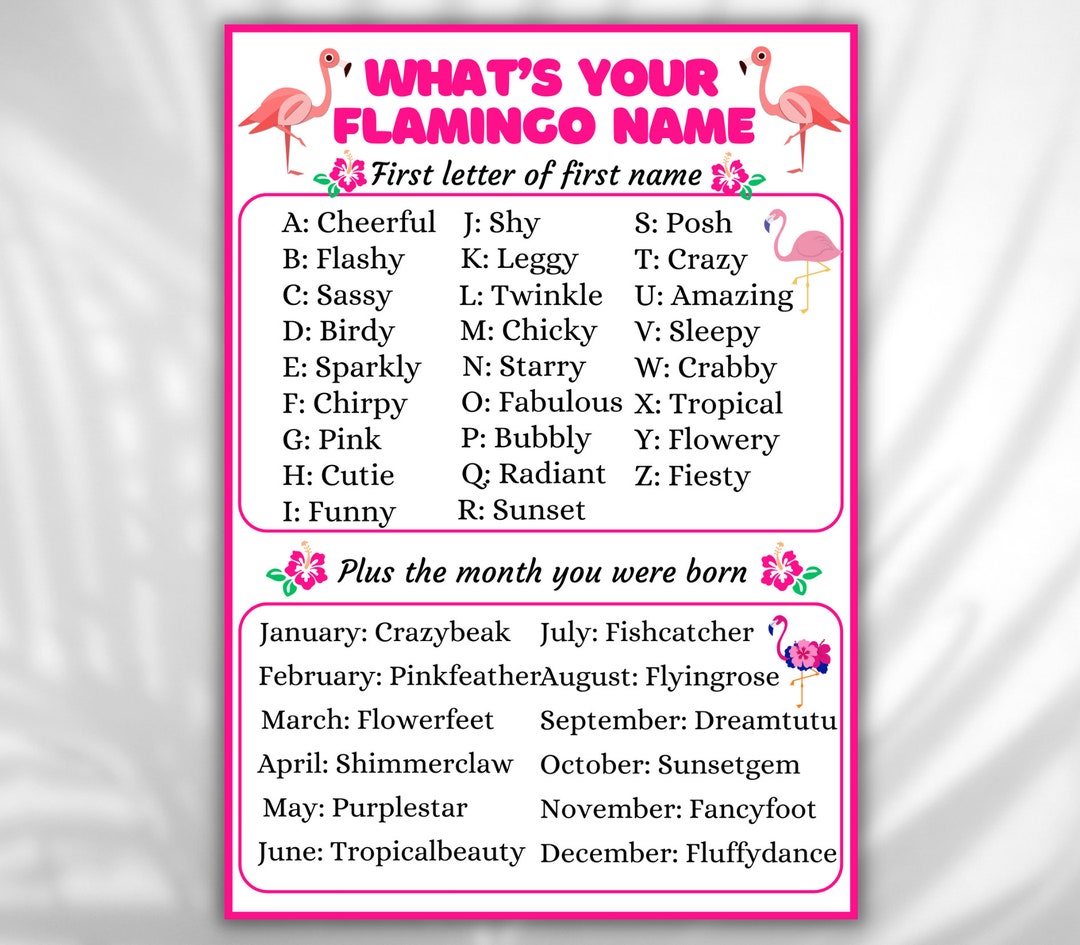 Flamingo Name Game Printable Flamingo Sign Party Activity - Etsy