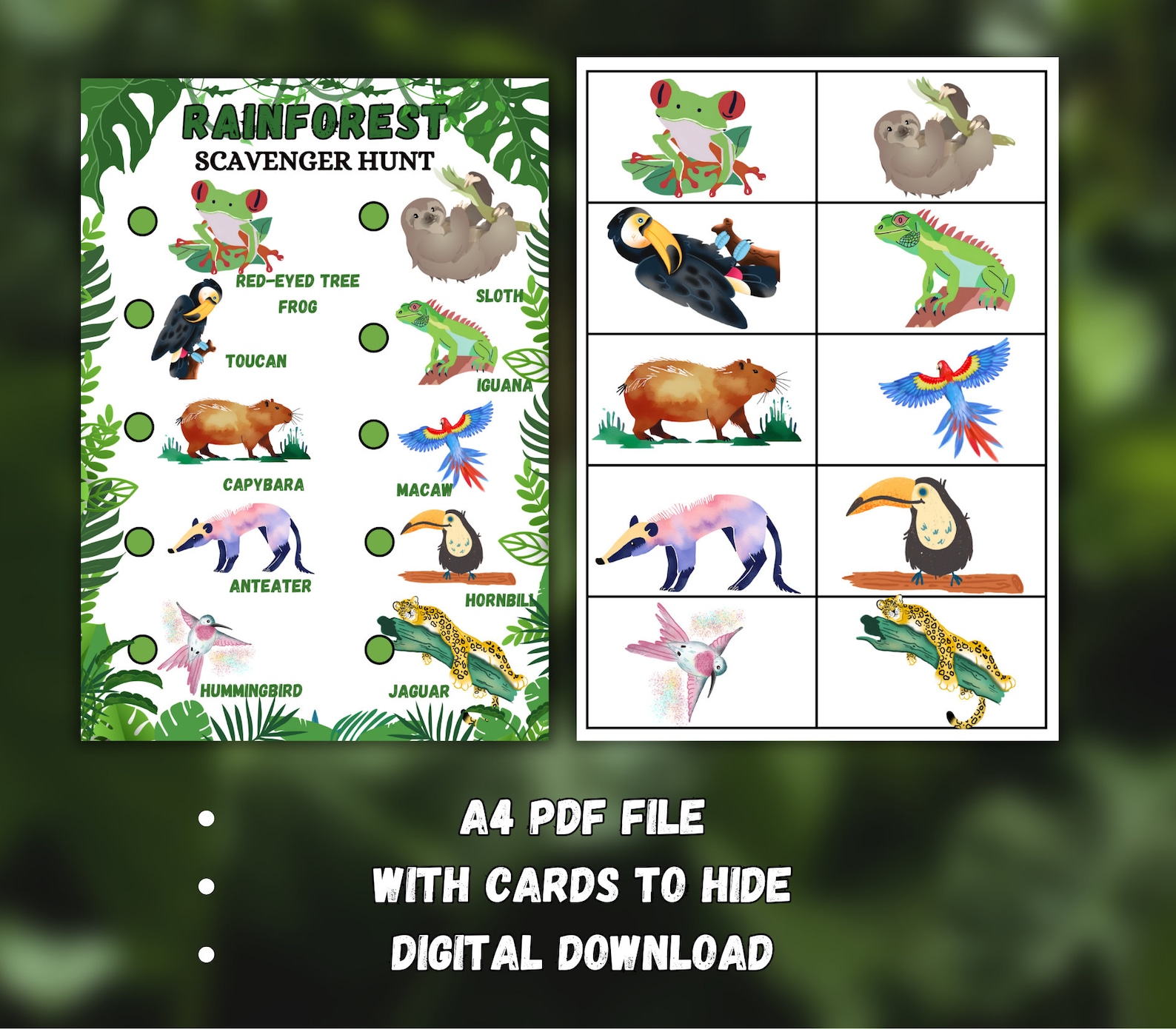 Jungle Scavenger Hunt, Rainforest Scavenger Hunt, Kids Birthday Party ...