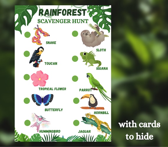 Tropical Rainforest Scavengers