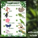 Rainforest Scavenger Hunt, Jungle Scavenger Hunt, Kids Birthday Party ...