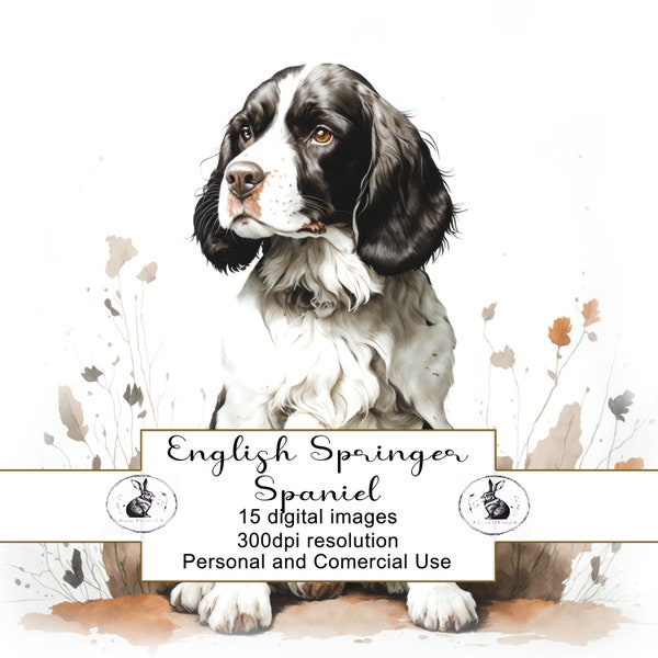 Springer Spaniel - Etsy