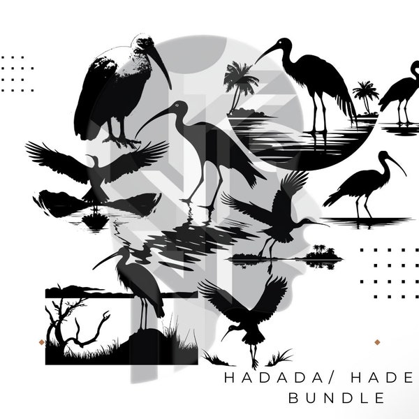 Hadeda - Etsy