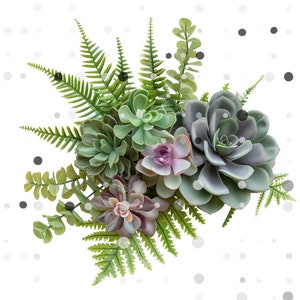 Digital Succulent Bouquet Clipart Bundle - Etsy