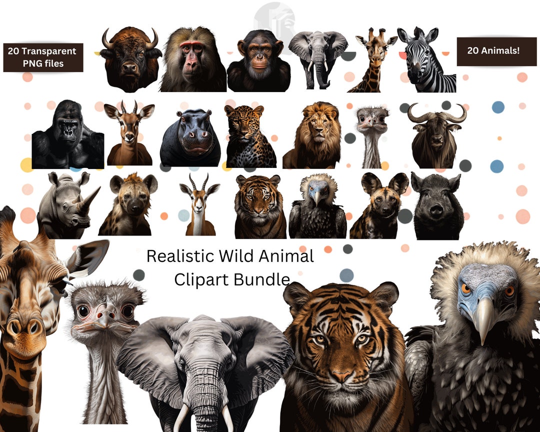 Realistic Wild Animal Clipart PNG Bundle 20 Different Animals - Etsy