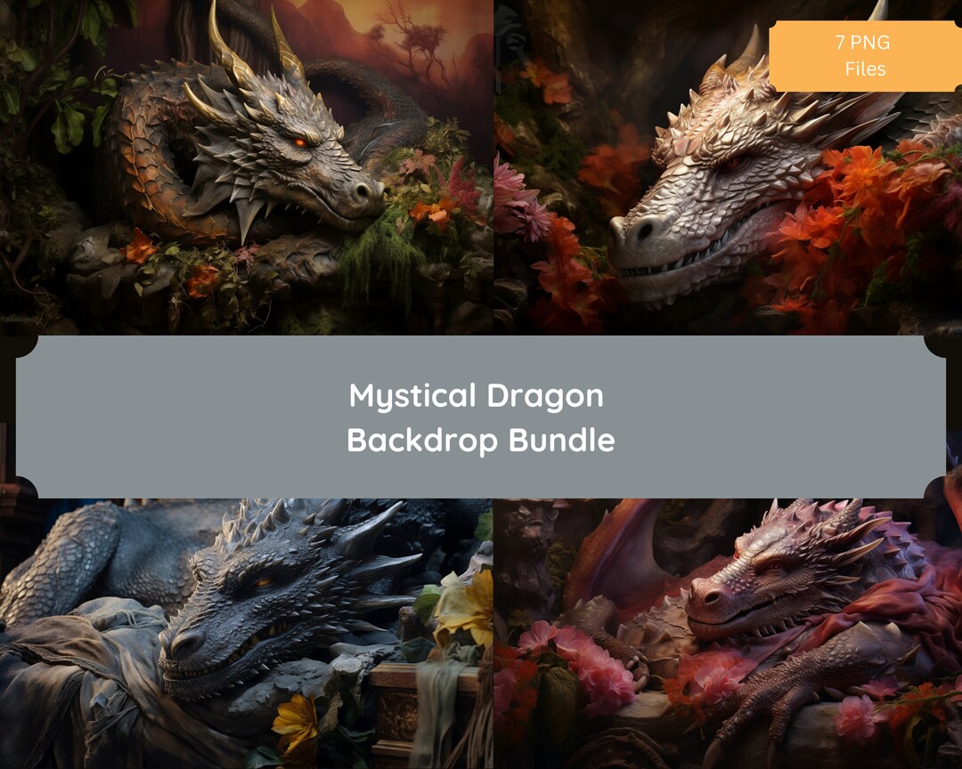 Dragon Realms Photoshop Backdrop Set | 7 Pngs - Etsy