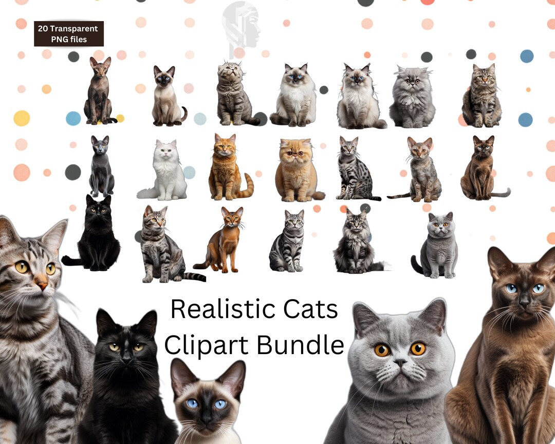 Realistic Cat Clipart Bundle of 23 - Etsy