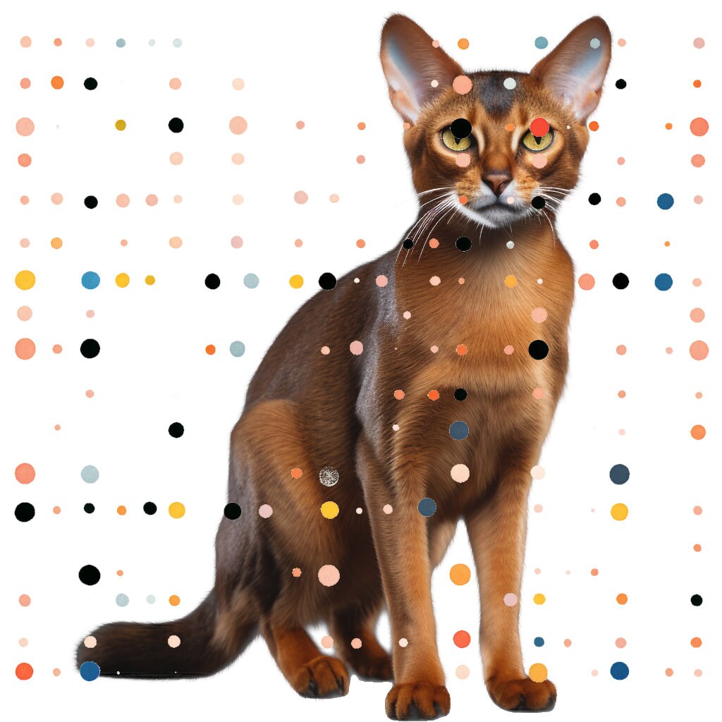 Realistic Cat Clipart Bundle of 23 - Etsy