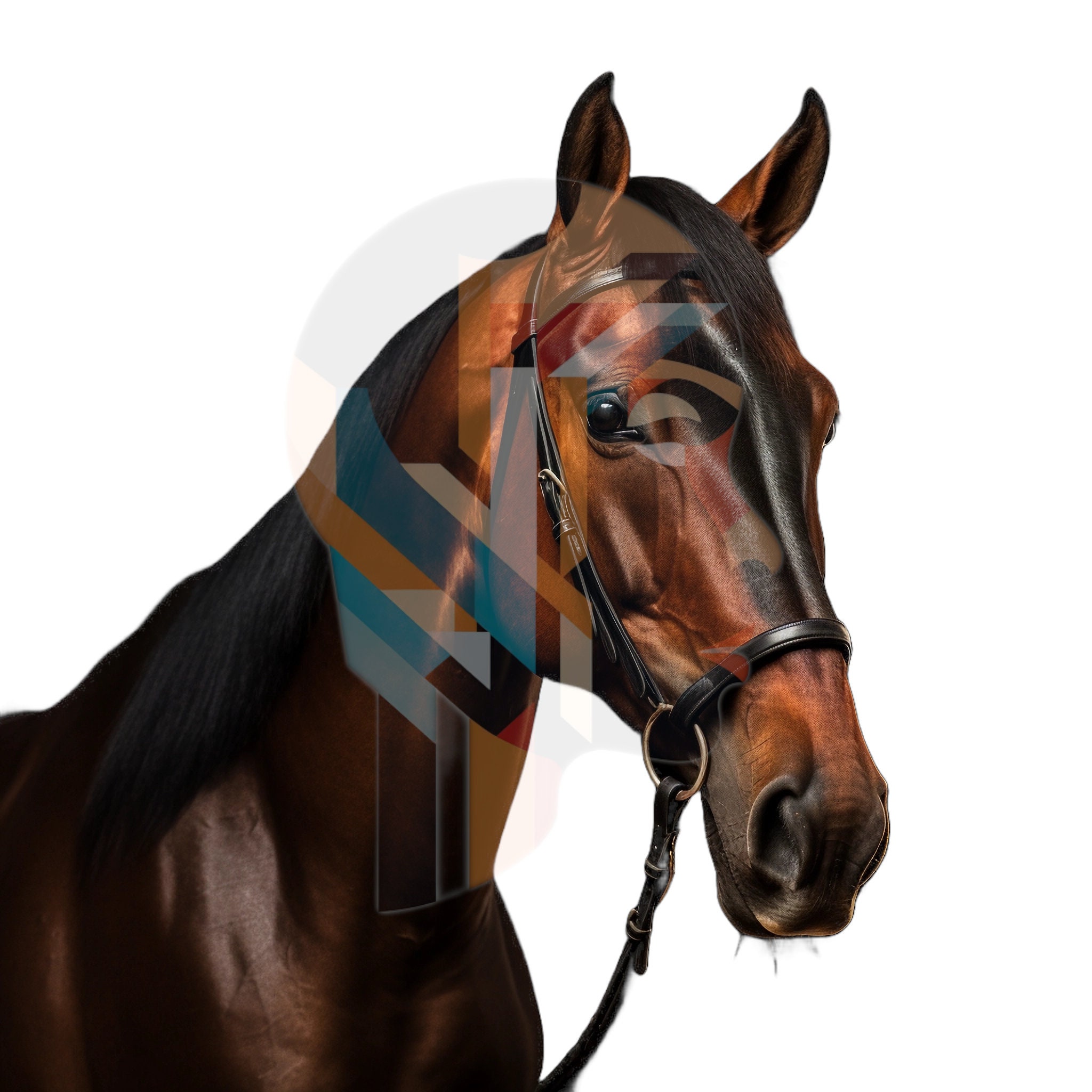 Realistic Farm Animals Clipart Bundle of 21! - Etsy