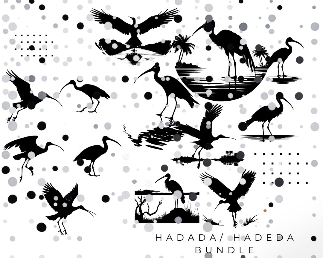 Hadada/ Hadeda Ibis SVG+ PNG Pack - Etsy