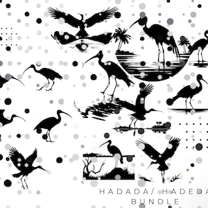 Hadeda - Etsy